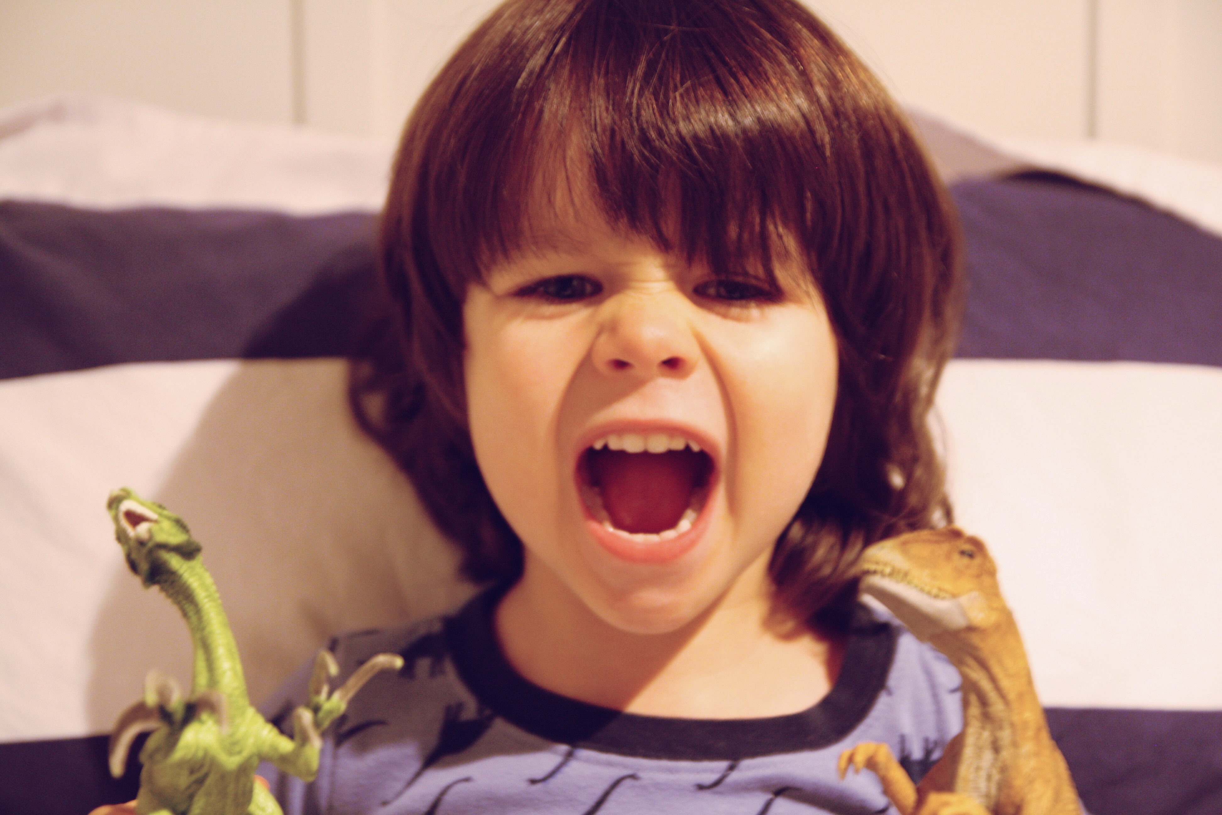 How To Cross examine Your Child Precedent